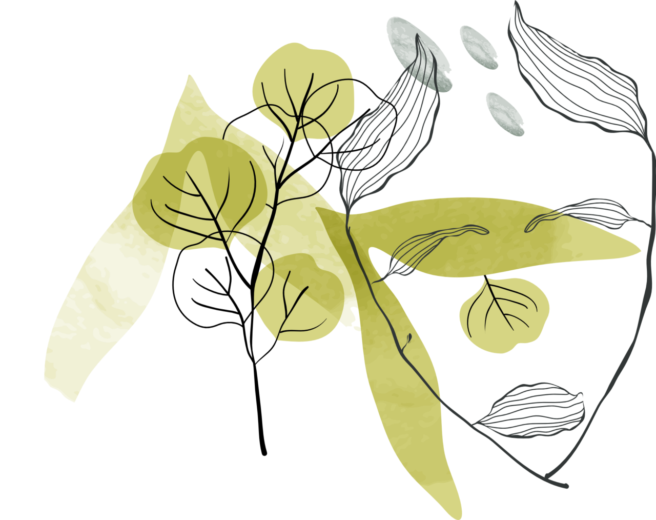 The Perma Earth | The International Permaculture Hub